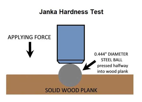 How Important is Janka Rating - Avoid These Pitfalls When Using Janka ...